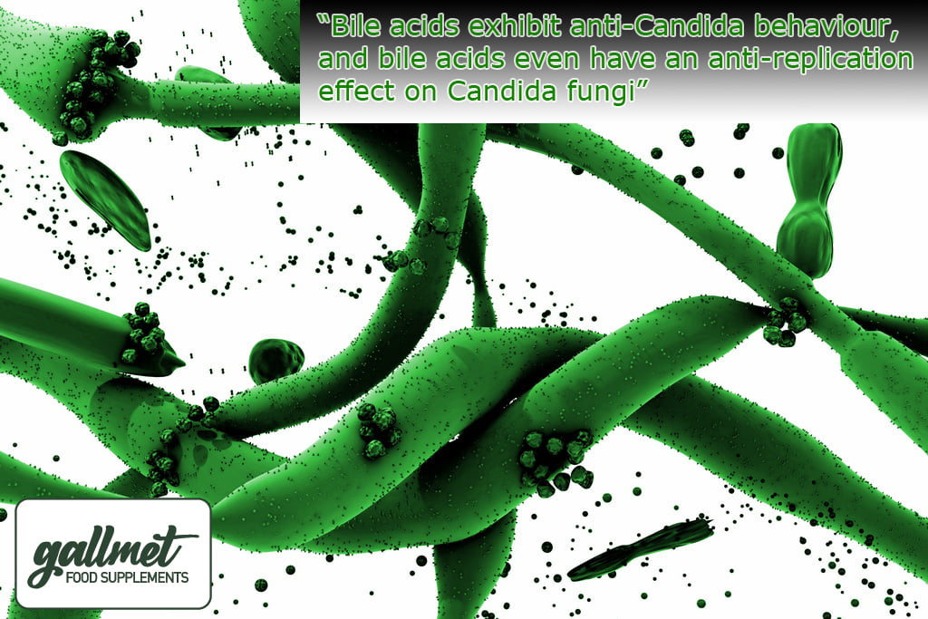 Effect of bile acids on Candida in the digestive tract - Gallmet